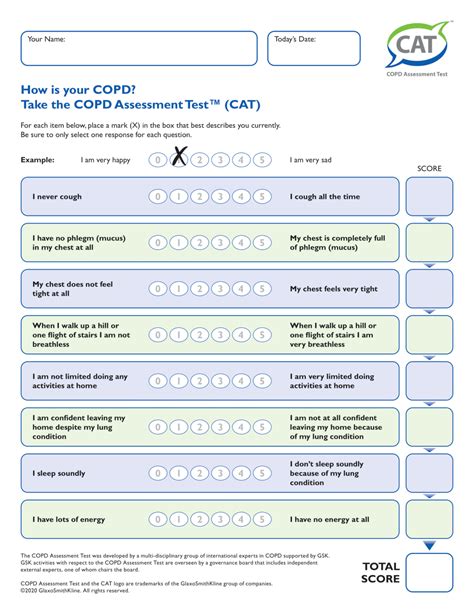 Copd Assessment Test Cat Score Interpretation World Emr