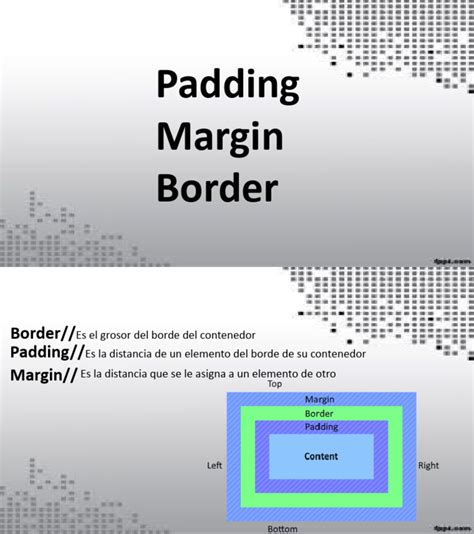Css Padding Margin Border Pdf