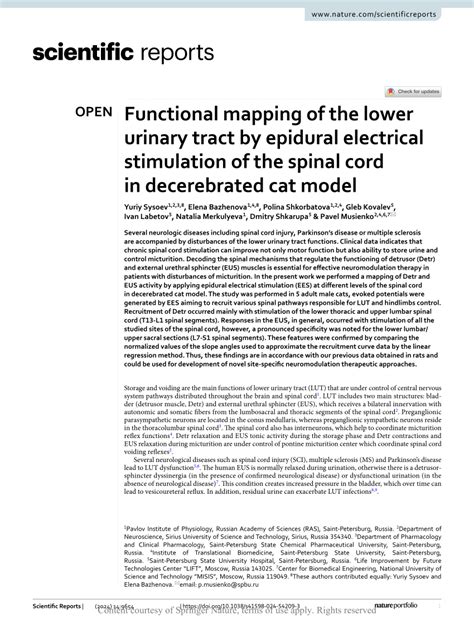 Pdf Functional Mapping Of The Lower Urinary Tract By Epidural Electrical Stimulation Of The