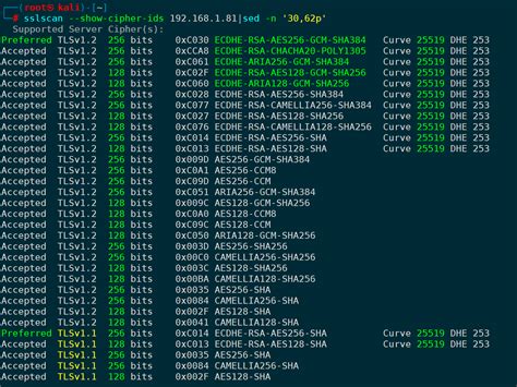 网络安全的第一道防线： 深入探索sslscan在ssl tls证书安全检测中的原理与实践 rokasyang s blog