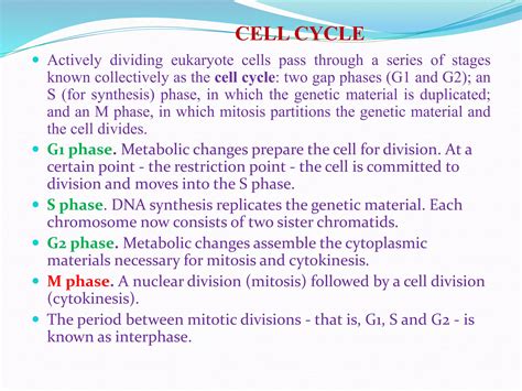 Eukaryotic Cell Cycle Converted Ppt