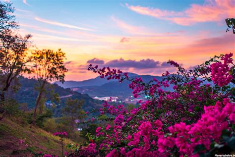 28 عکس از تصویر زمینه طبیعت با کیفیت بالا که حیرت انگیز است