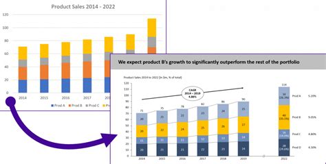 Create Beautiful Charts In Powerpoint With Think Cell Xelplus Leila Gharani
