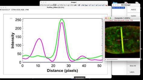 Imagej Measuring Fluorescence Intensity Fluorescence Analysis With