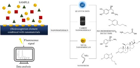 Schematic Overview Of Fluorescent Nanomaterial Based Sensors For The