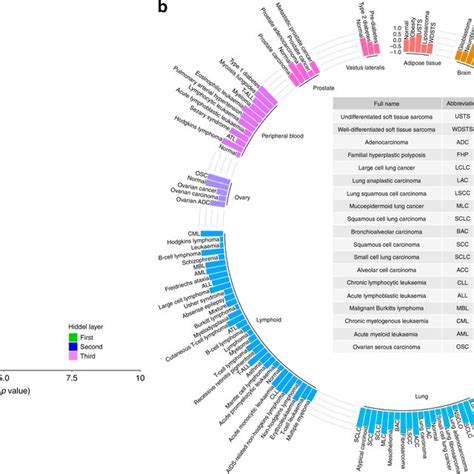 Deep Autoencoder Deepae Representation Clustering Samples Into Cell Download Scientific