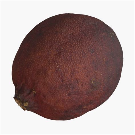 3d Lime Rotten Turbosquid 1694734