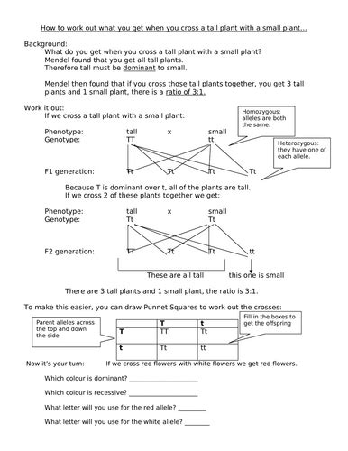Cie Igcse Biology 0970 9 1 Topic 17 Inheritance Teaching Resources