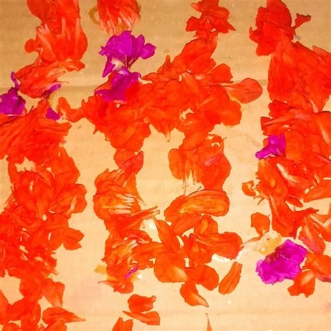 Bholanath Patra Youtube