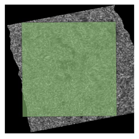 Subset With Shapefile Looks Odd Development Step Forum