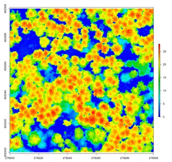 Github R Lidar Lidr Airborne Lidar Data Manipulation And Visualisation For Forestry Application