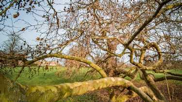 Buy A Raspberry Pi Camera Module Raspberry Pi