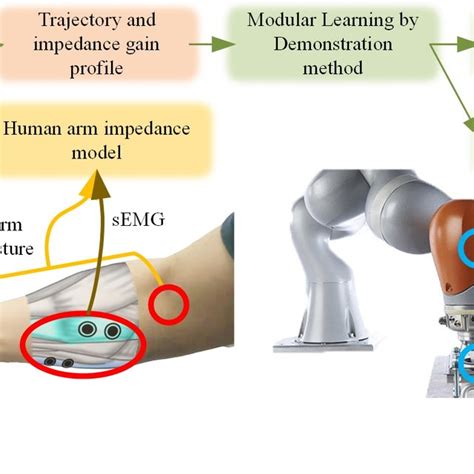 PDF Robot Variable Impedance Skill Transfer And Learning Framework