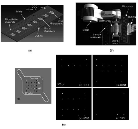 A Schematic Diagram Of The Eight Chamber Microfluidic Biochip B Download Scientific