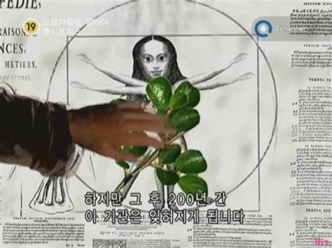 오르가즘을 말하다 클리토리스 후방주의 꾸르