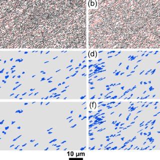 EBSD Data Showing The Microstructure In Two Al Samples Processed By Download Scientific Diagram