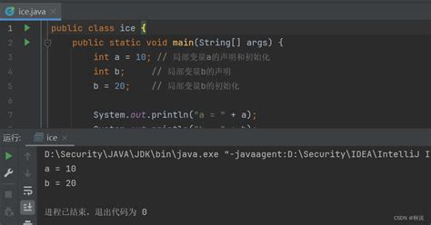 【java开发指南 第五篇】java变量类型、参数变量及局部变量 阿里云开发者社区 【java开发指南 第五篇】java变量类型、参数变量及局部变量 阿里云开发者社区