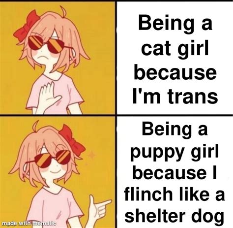 This Is More If A Trans Meme But I Thought It Might Fit Here R
