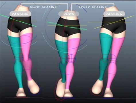 Tutorial 2 Female Walk Cycle Female How To Make Animations Flip Book Animation