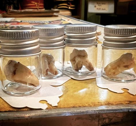 Skeletons And Bones Dolly Python