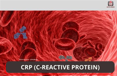 CRP C Reaktive Protein