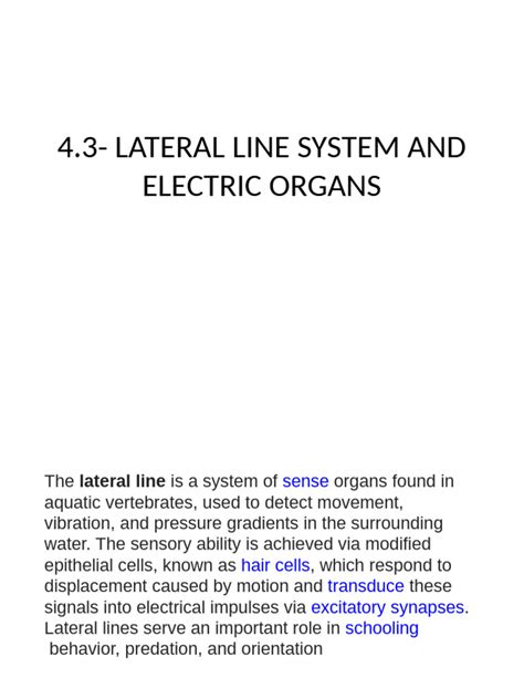 Lateral Line System In Fish Pdf Anatomy Vertebrates