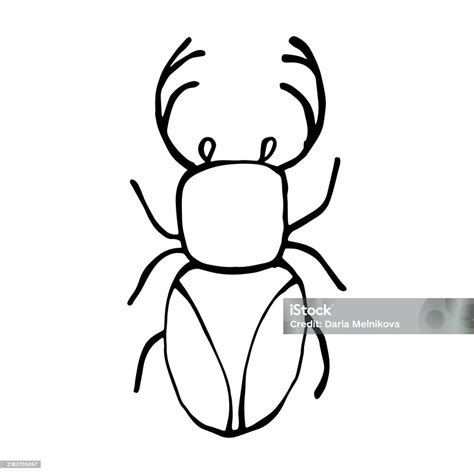 Art Illustration 딱정벌레 벌레의 색칠 공부 페이지 곤충 윤곽선 벡터 아이콘 벽지 손으로 그린 낙서 스타일 흰색 바탕에 고립 된 검은 선 곤충에 대한 스톡 벡터