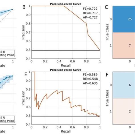 Cancer Histological Type Classification Results From Testing Datasets