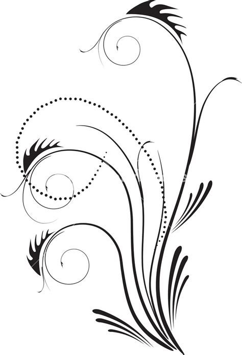 Floral Curl Vector Element Royalty Free Stock Image Storyblocks
