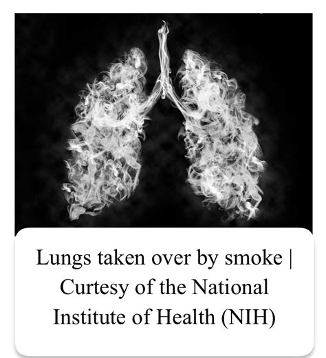 How Does Vaping Affect Your Brain Development StMU Research Scholars