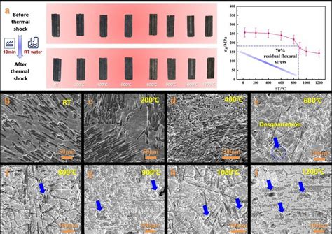 Thermal Shock Resistance Of 3d Pyc Cfzrc Sic Composite And Sem