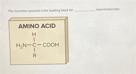 Solved The Monomer Pictured Is The Building Block For Amino