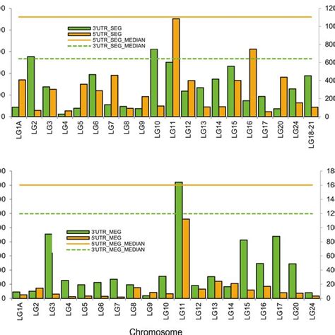 Comparison Of The Average Length Of A 3′utr Length Between Download Scientific Diagram