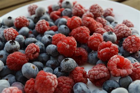 라즈베리 블루 베리 딸기 신선한 Pixabay의 무료 사진 Pixabay