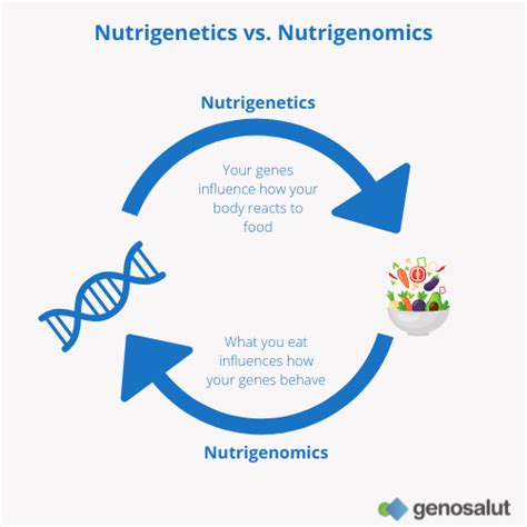 Nutrigenetics And Nutrigenomics Nutrition Diet And Intolerances Genosalut