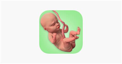 ‎pregnant Mom Birth Simulator On The App Store