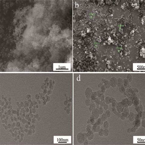 Sem Tem Image Of Msns A And B Sem C And D Tem Download Scientific Diagram