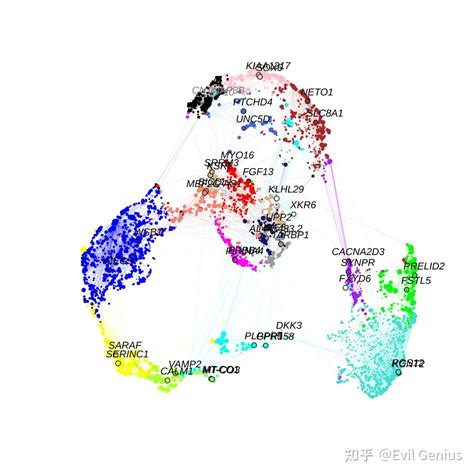 针对高维数据（10x单细胞空间）的共表达网络分析（hdwgcna） 知乎