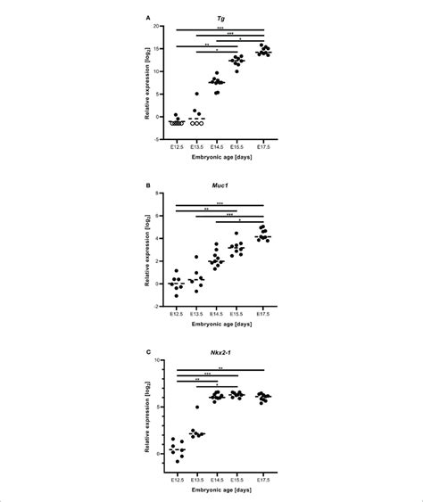 Gene Expression Accompanying Thyroid Differentiation And