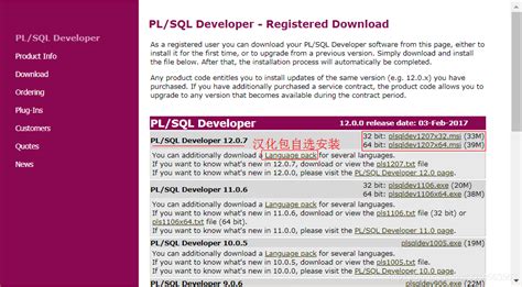 Plsql Developer12配置使用方法plsql12 使用教程 Csdn博客