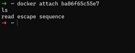 How To Ssh Into Docker Container