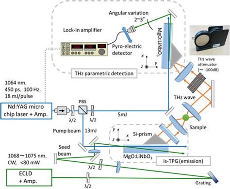 Perspective Terahertz Wave Parametric Generator And Its Applications