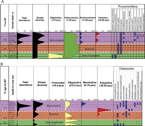 Vertical Distribution Of Foraminifera A And Ostracoda B In Core 342 Download Scientific