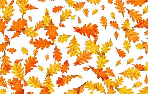 Autumn Oak Leaf Pattern Vector Stock Illustration Illustration Of Flying Decoration 333554564
