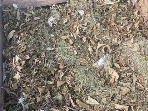 How To Start A Compost Pile A Beginner S Guide