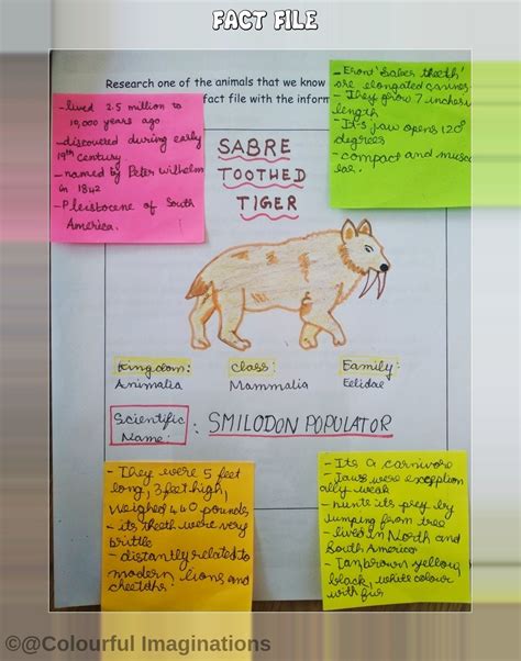 COLOURFUL IMAGINATIONS FACT FILE Importance of Précis Writing in Children