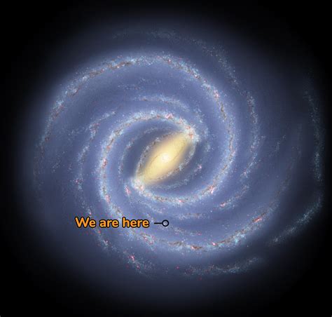 The Milky Way Galaxy Amnh
