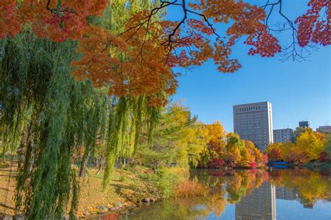 中岛公园旅游景点HOKKAIDO LOVE 北海道官方旅游网站