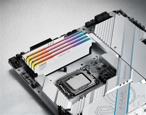 KLEVV Intros URBANE V RGB DDR5 Gaming OC Memory TechPowerUp