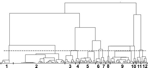 classification dendrogram produced by minimum variance clustering